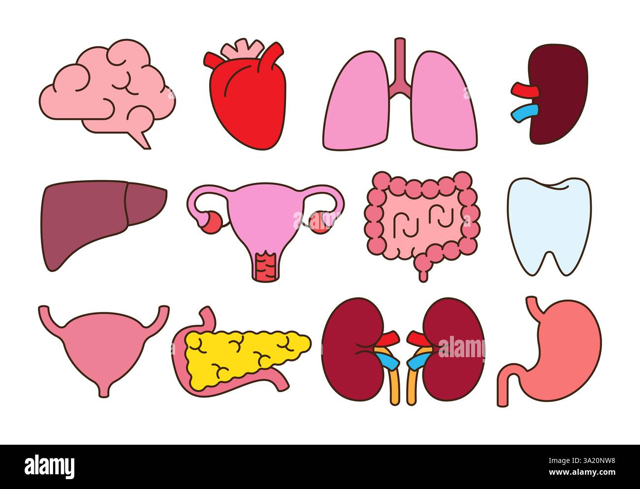 Collection of human internal organs . Flat design and simple cartoon ...
