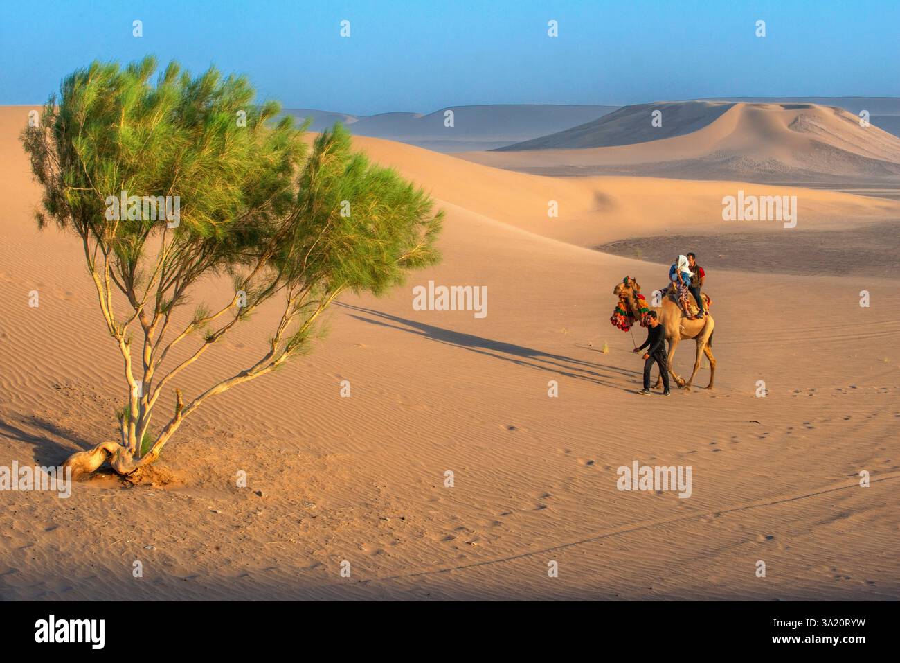 Tourist couple in a camel tour in Bafq Desert in Yazd province, Iran ...