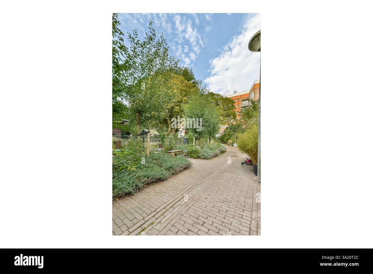 Clear path pathway Cut Out Stock Images & Pictures - Alamy