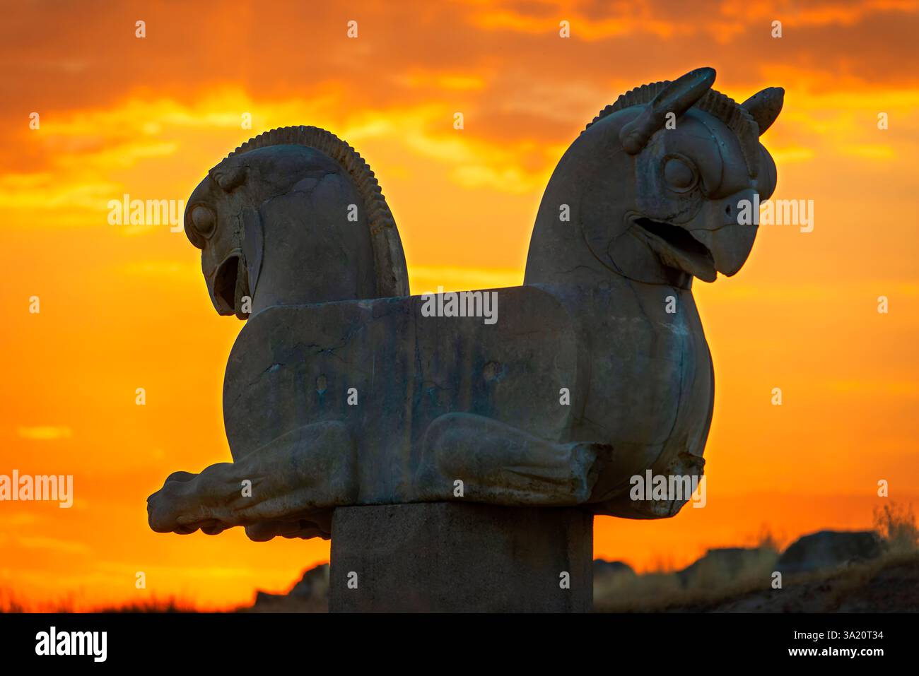 Apadana palace, Persepolis, UNESCO World Heritage Site, Fars Province ...