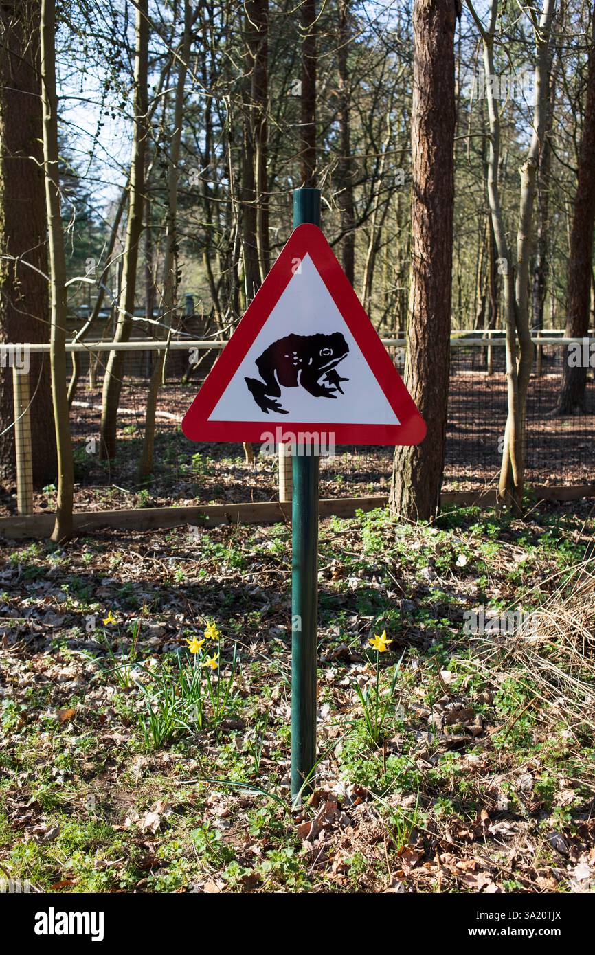 A triangular 'beware of the frogs' warning sign in the woods at Center ...