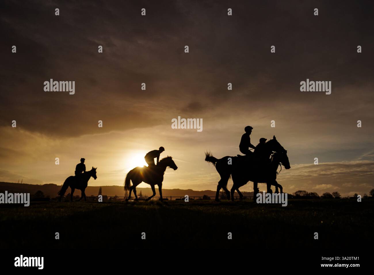 Horses from Gordon Elliott's stables on the gallops on day one of the ...