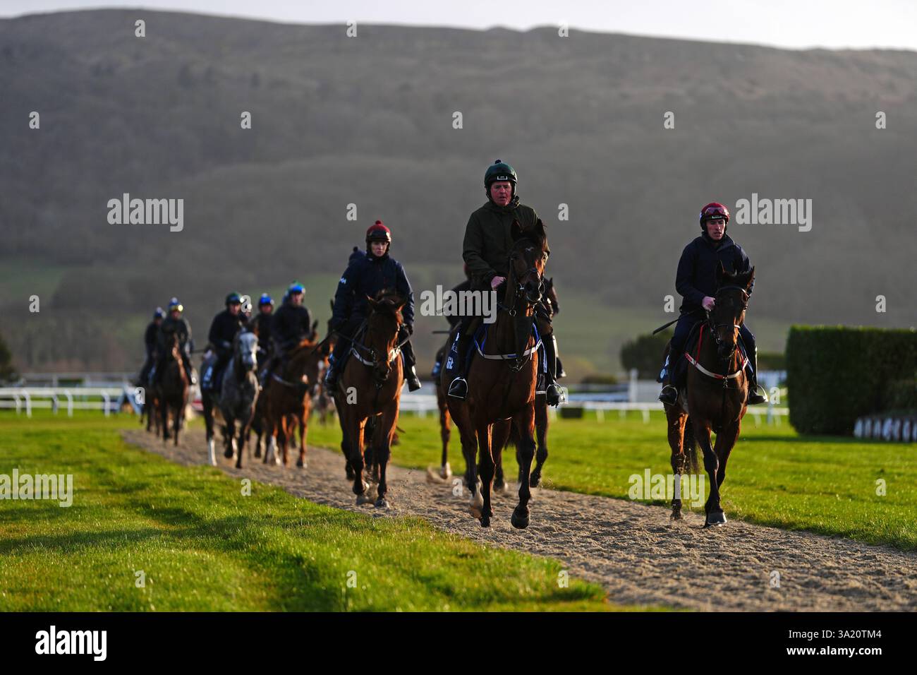 Horses from Gordon Elliott's stables on the gallops on day one of the ...