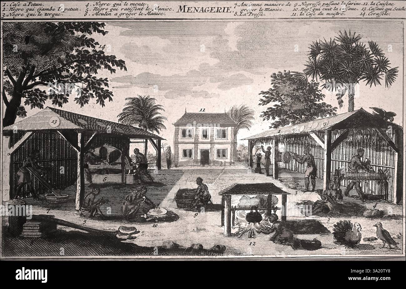 Slave Labour - A plantation in the West Indies (1667-1671 Stock Photo - Alamy