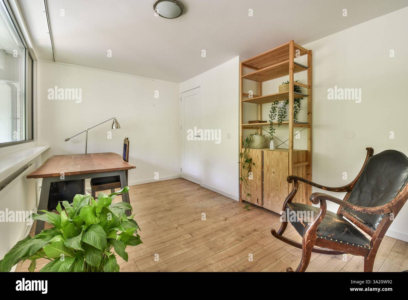Bright and airy minimalist interior featuring wooden furniture, plants ...