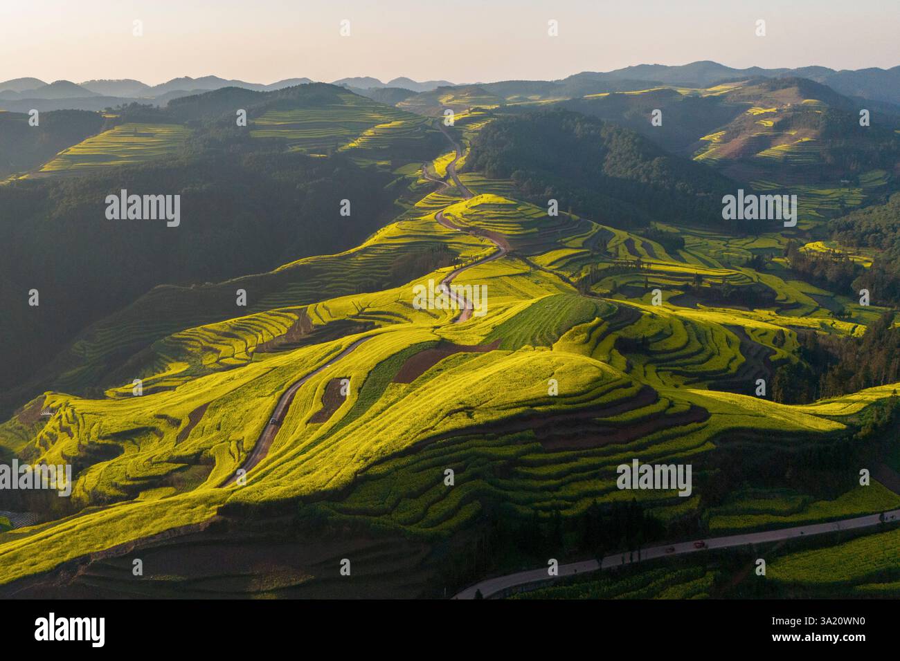 (250311) -- LUOPING, March 11, 2025 (Xinhua) -- An aerial drone photo ...