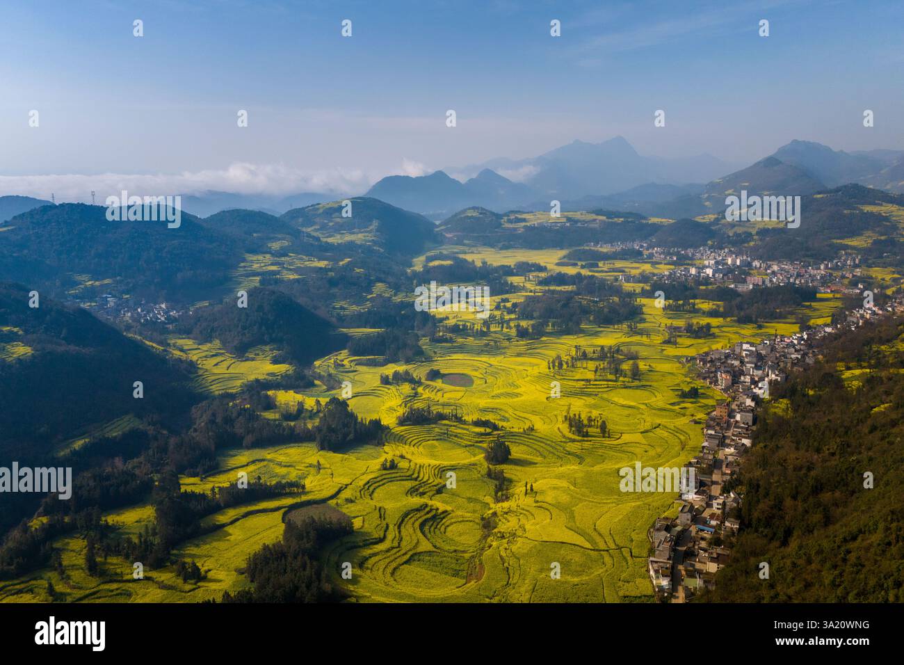 Luoping, China's Yunnan Province. 11th Mar, 2025. An aerial drone photo ...