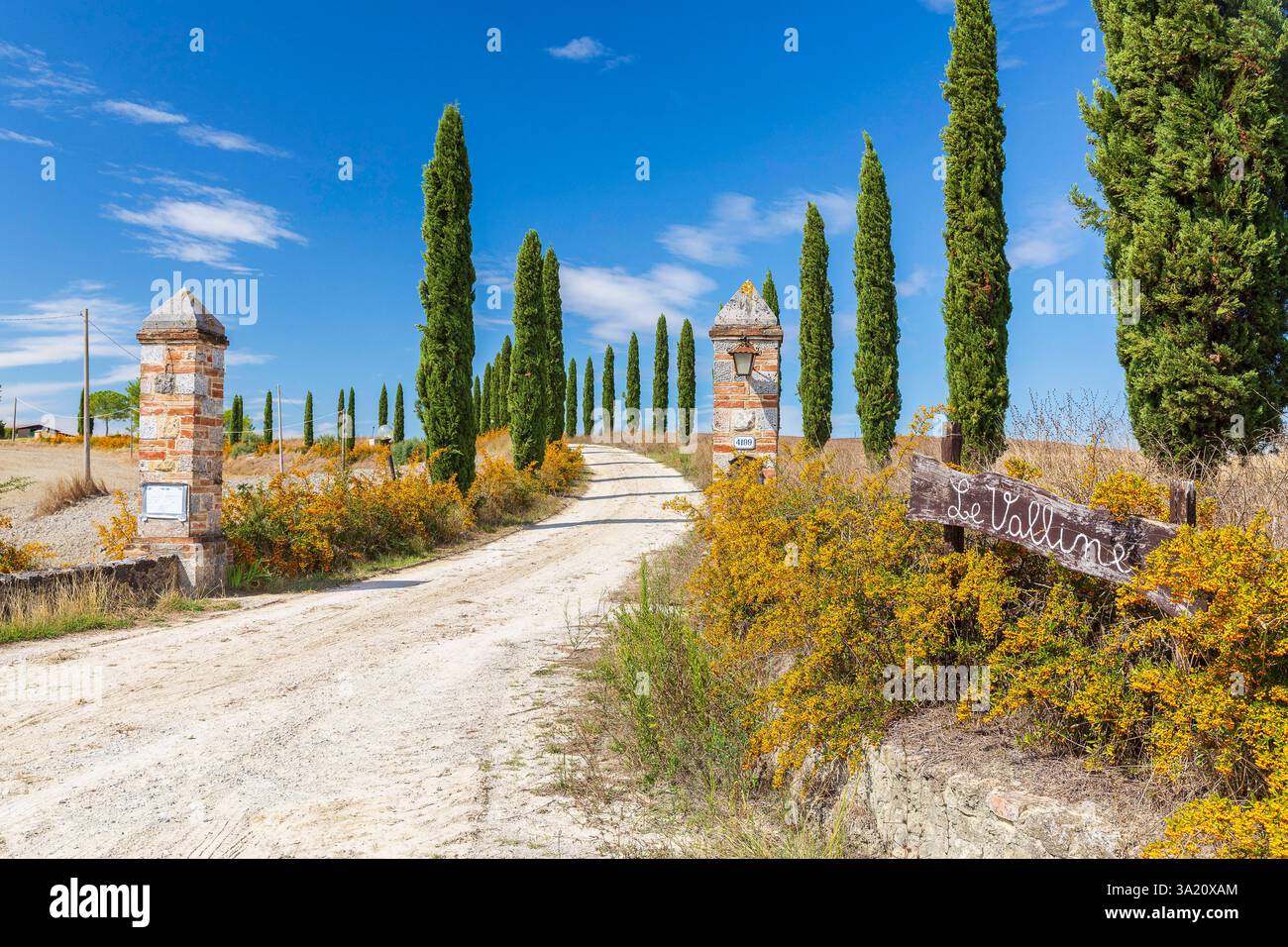 Toreinfahrt zu Le Valline mit Allee mit Säulen-Zypressen Cupressus ...