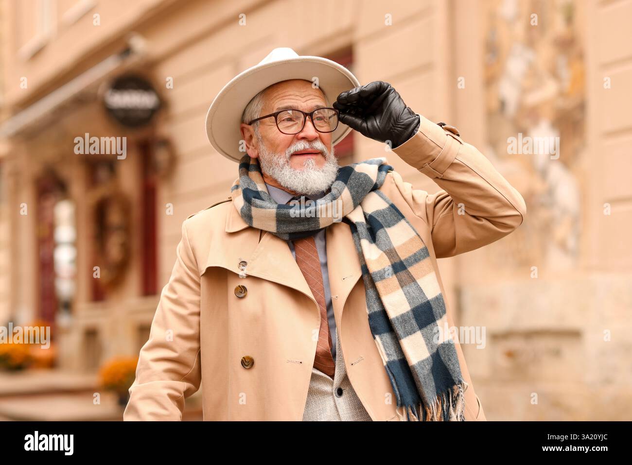 Senior old stylish bearded man hi-res stock photography and images - Alamy
