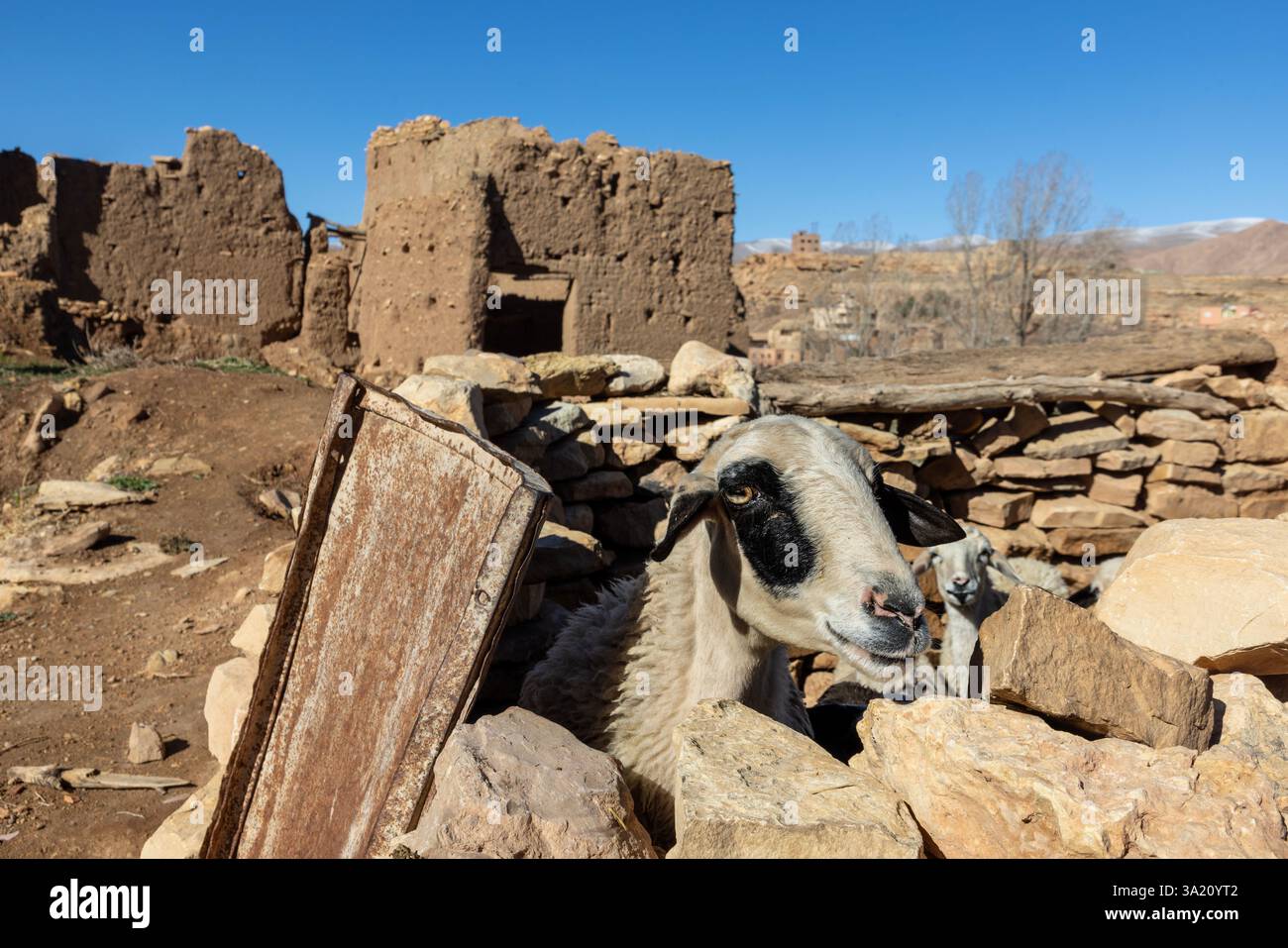 Traditional berber architecture hi-res stock photography and images - Alamy