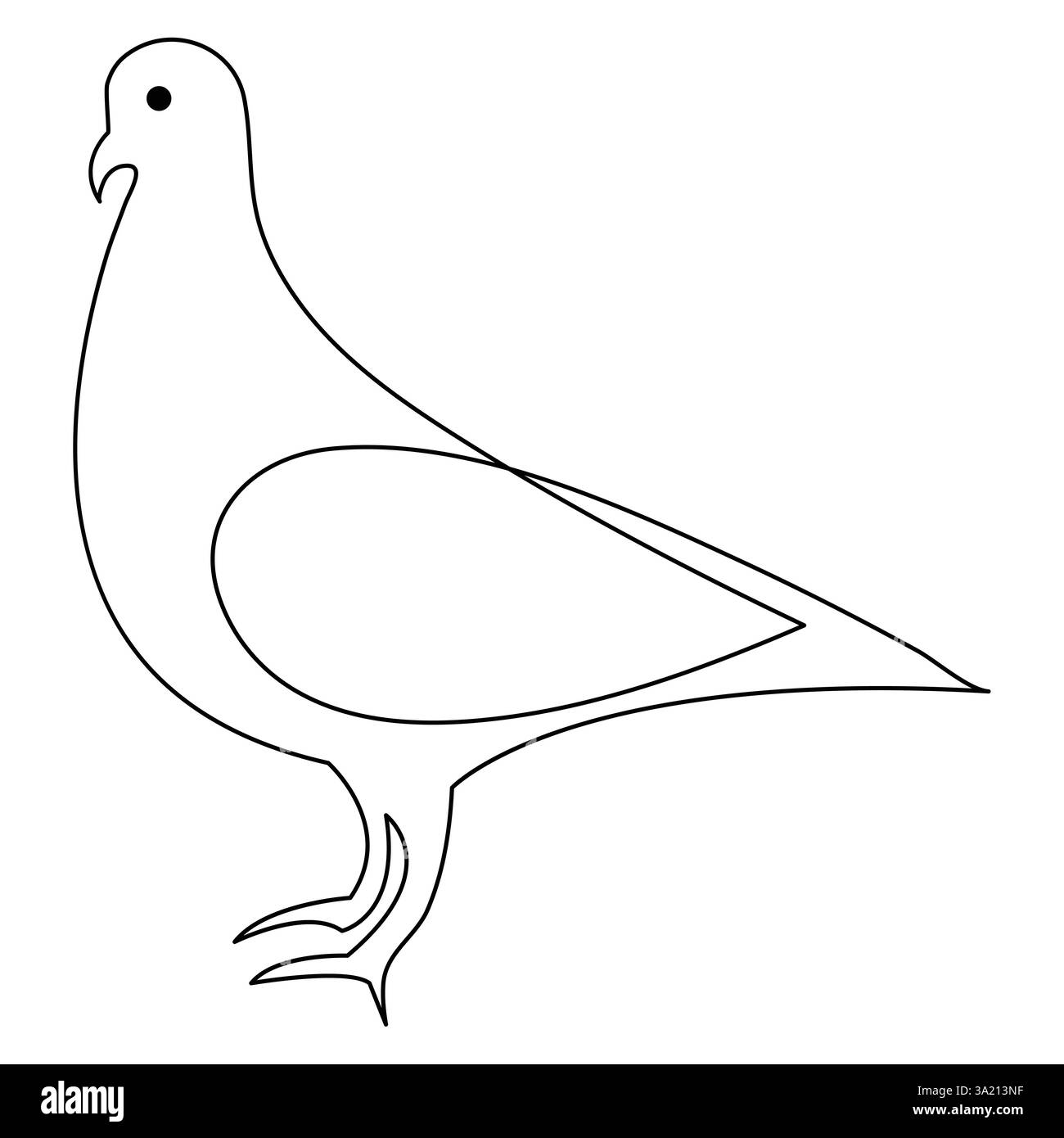 Continuous one line art drawing pet pigeon outline vector illustration ...