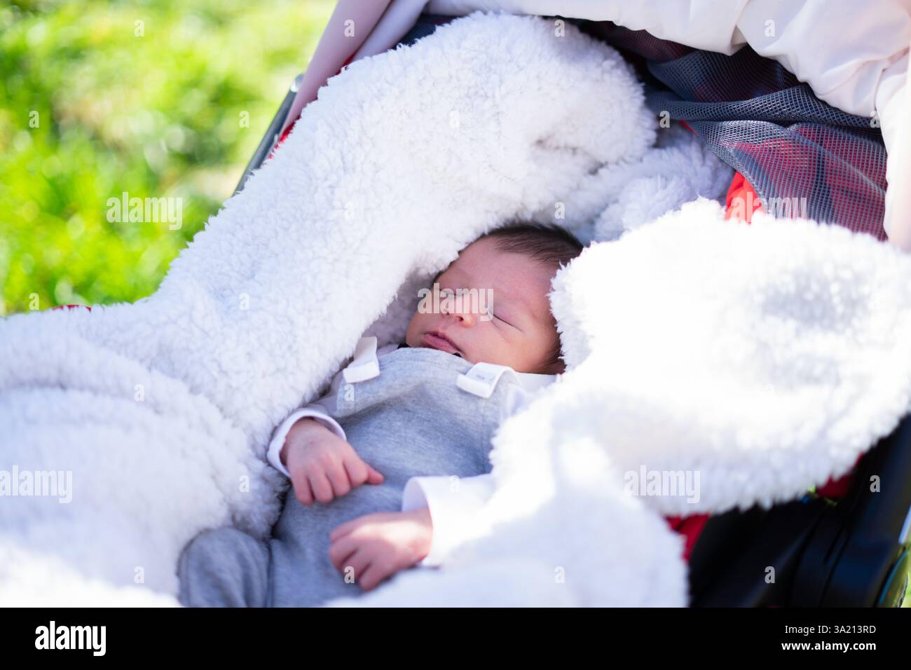 Newborn baby sleeping peacefully in a stroller outdoors, enjoying fresh ...