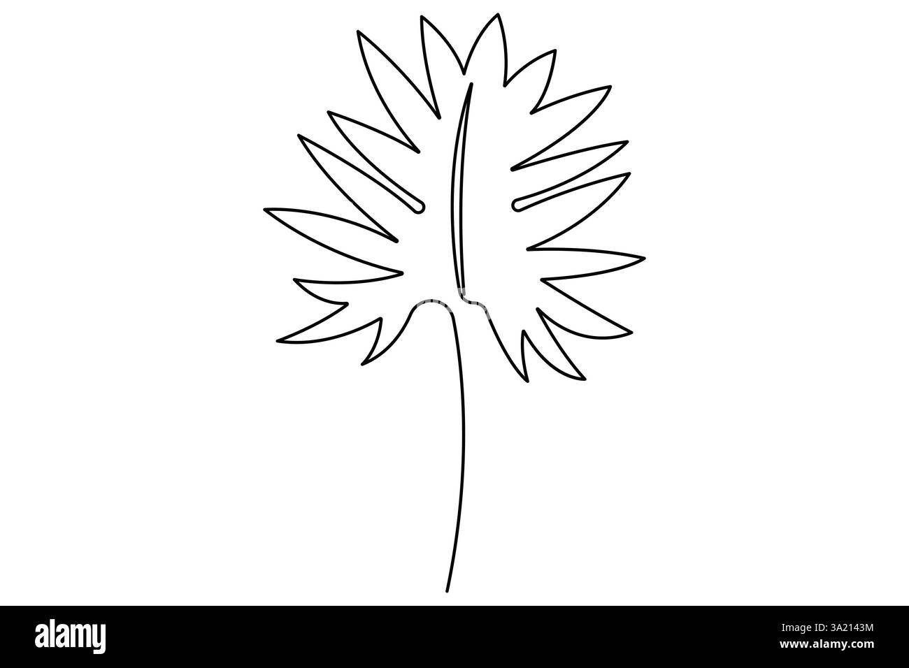 Vector illustration continuous one line drawing of outline palm leaf ...
