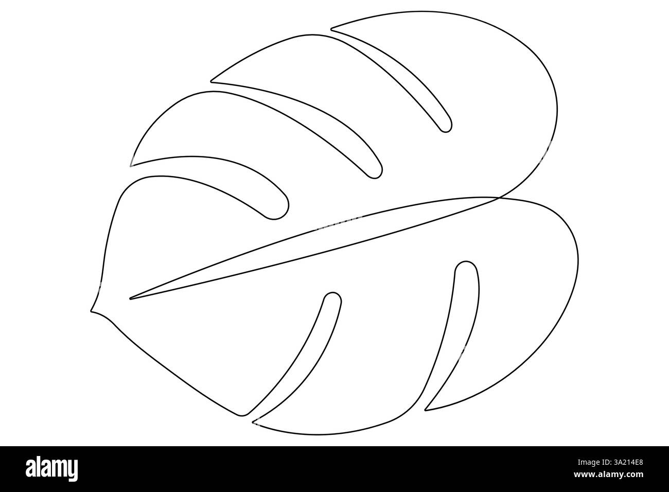 Vector illustration continuous one line drawing of outline palm leaf ...