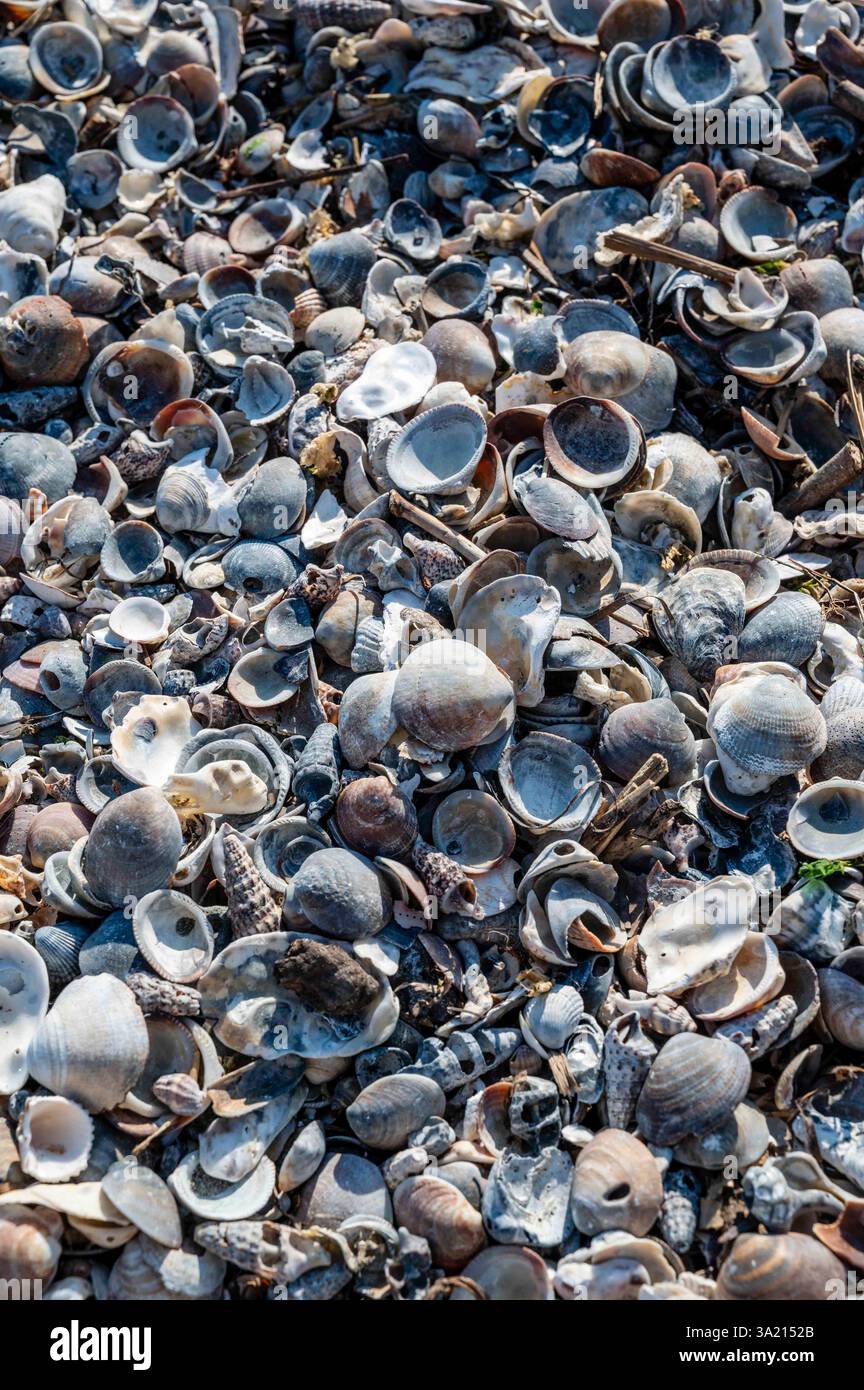Ancient island of Grado. Between nature, architecture and history Stock ...
