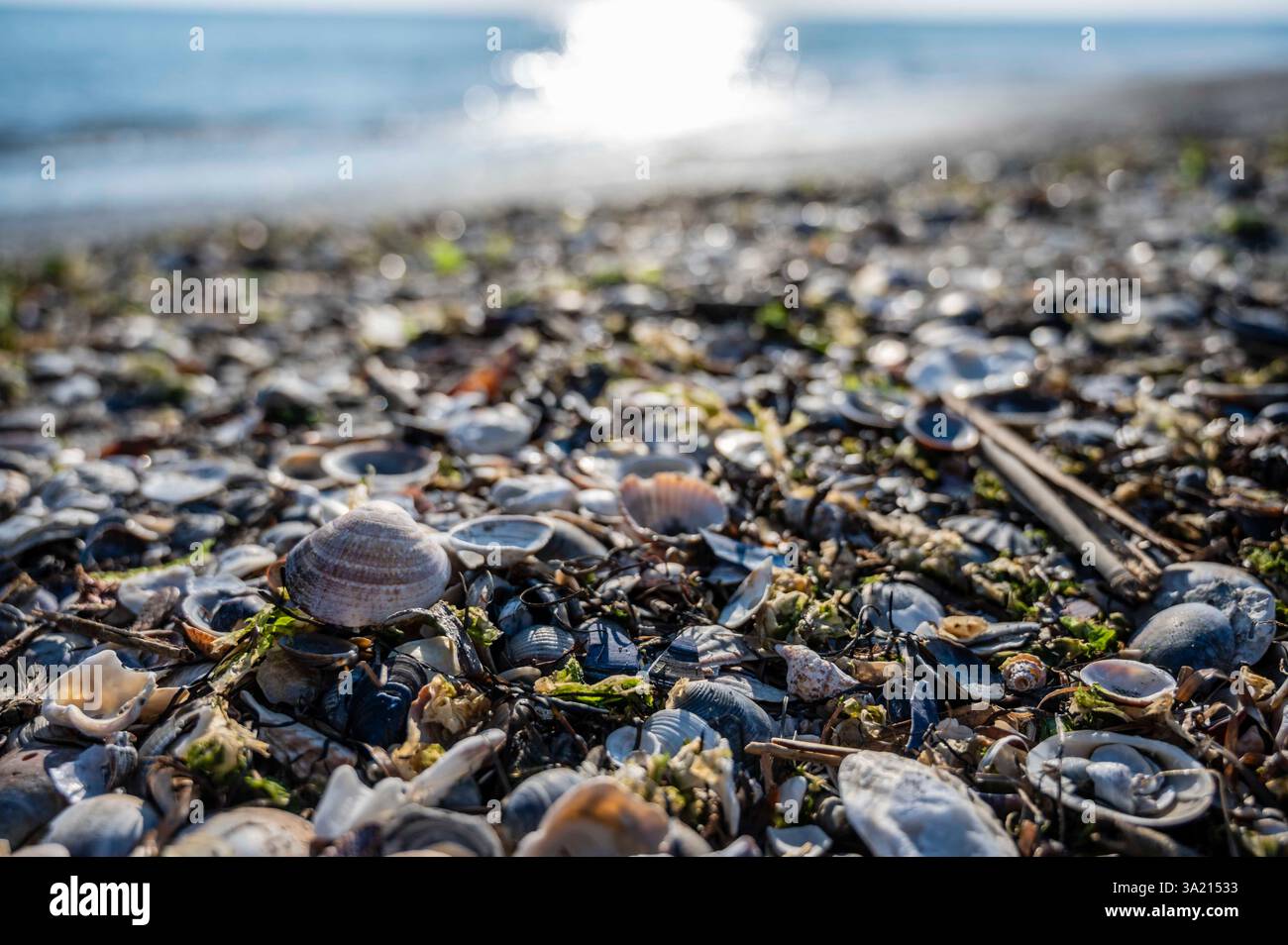 Ancient island of Grado. Between nature, architecture and history Stock ...
