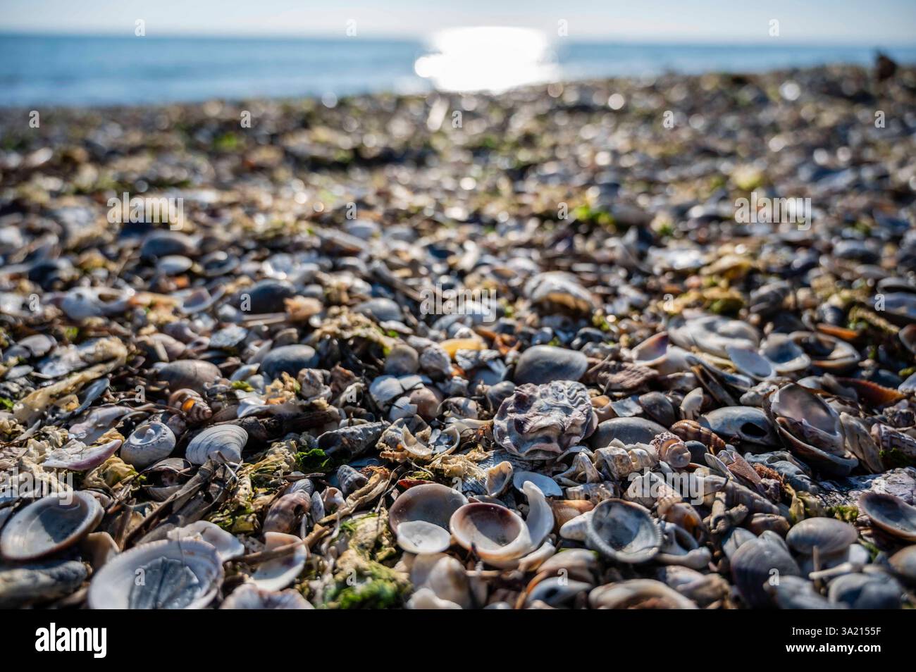 Ancient island of Grado. Between nature, architecture and history Stock ...