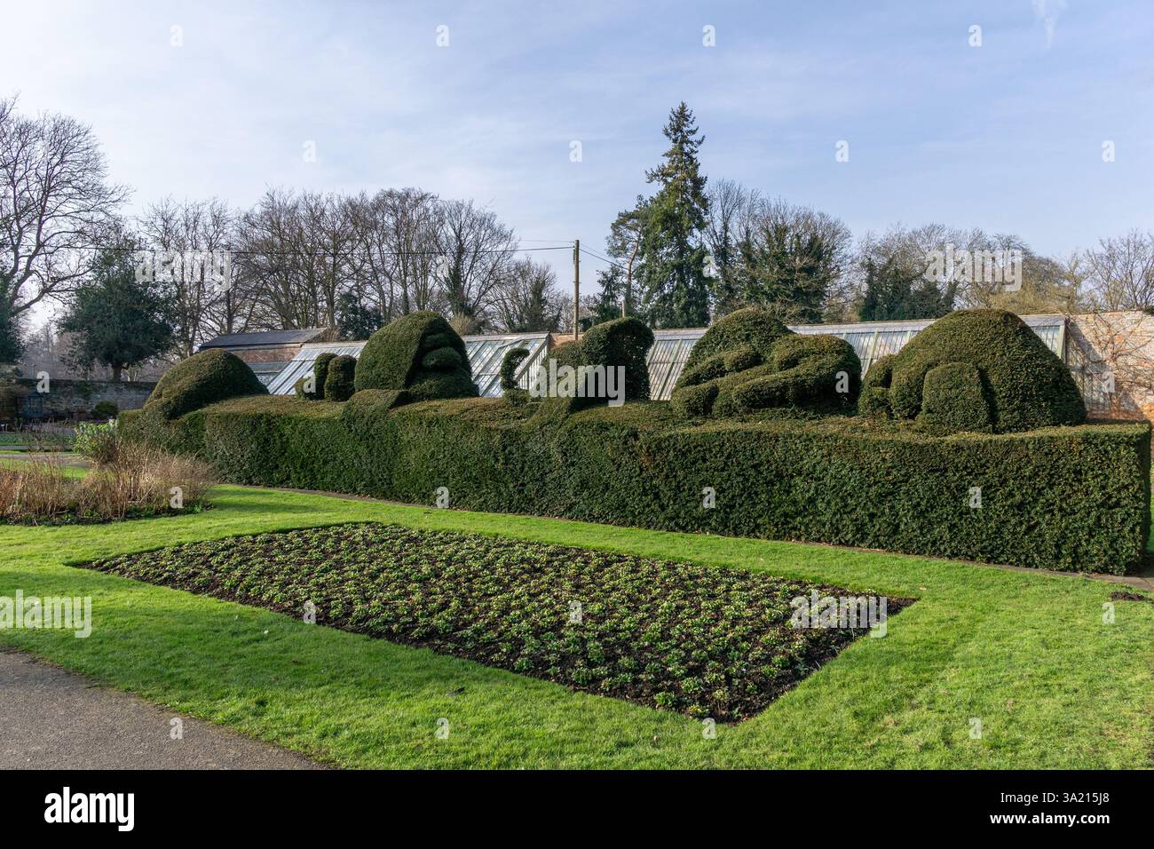 Topiary hedge clipped into the shape of animals, Walled Garden, Delapre ...