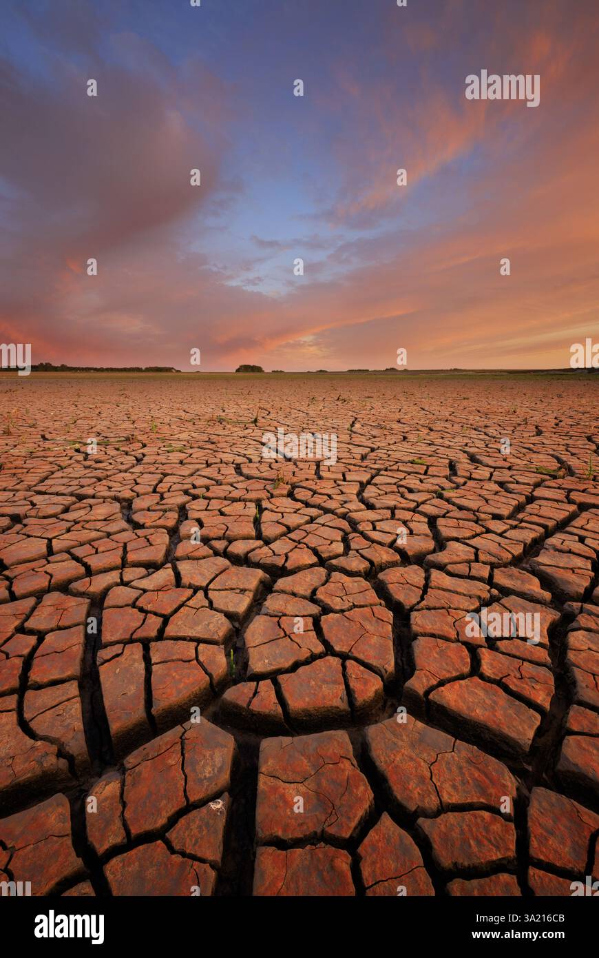 Drought due to climate change, global warming and deforestation because ...