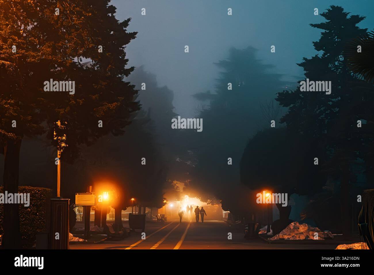 Walking silhouettes on scenic misty hi-res stock photography and images ...