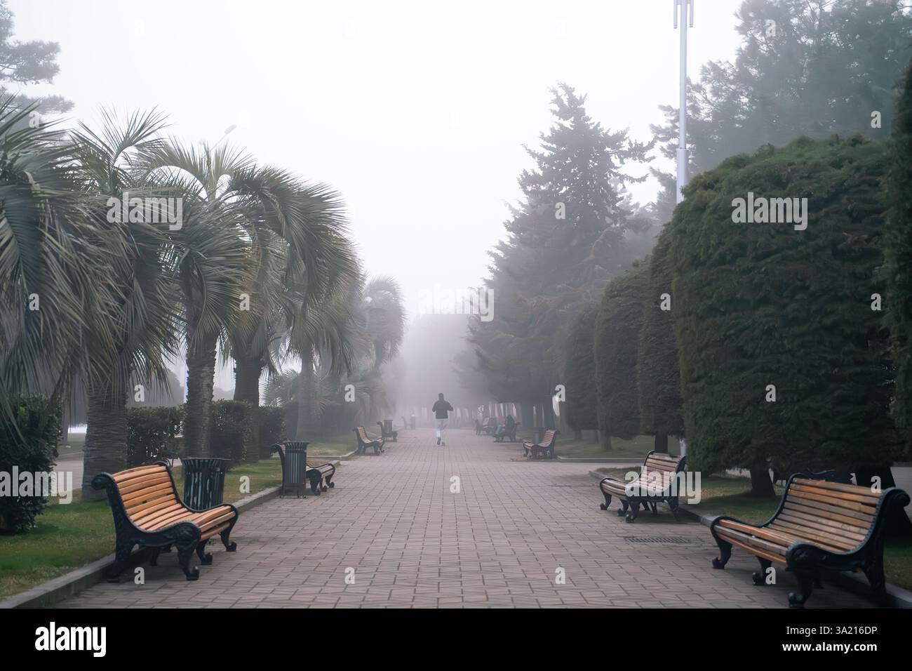 Batumi winter garden hi-res stock photography and images - Alamy