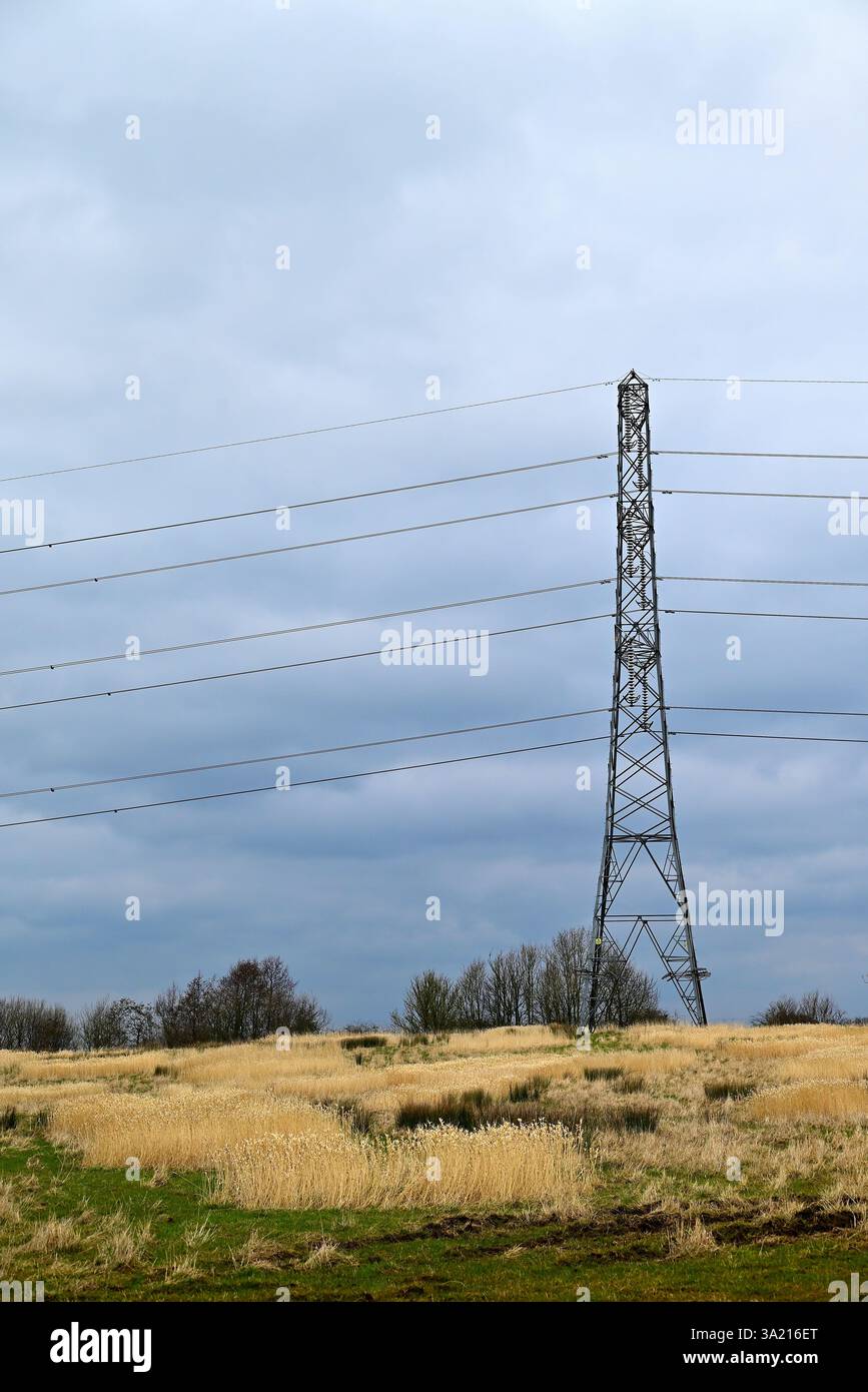 Around the UK - Electricity Transmission Pylon in a rural setting Stock ...
