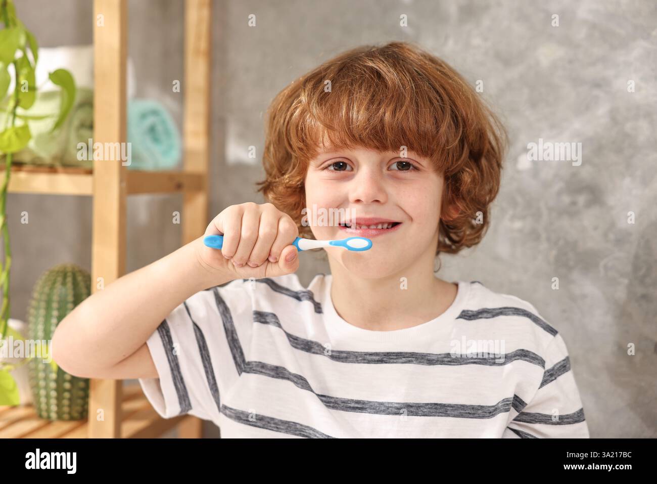 Cute boy brushing his teeth in bathroom Stock Photo - Alamy