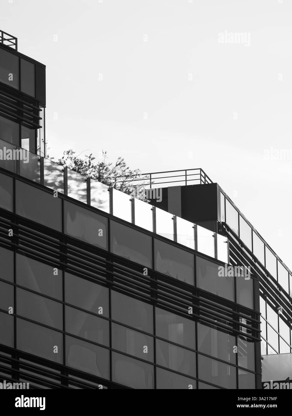 Black and White Landscape of Garden at Forbury Place, Reading ...