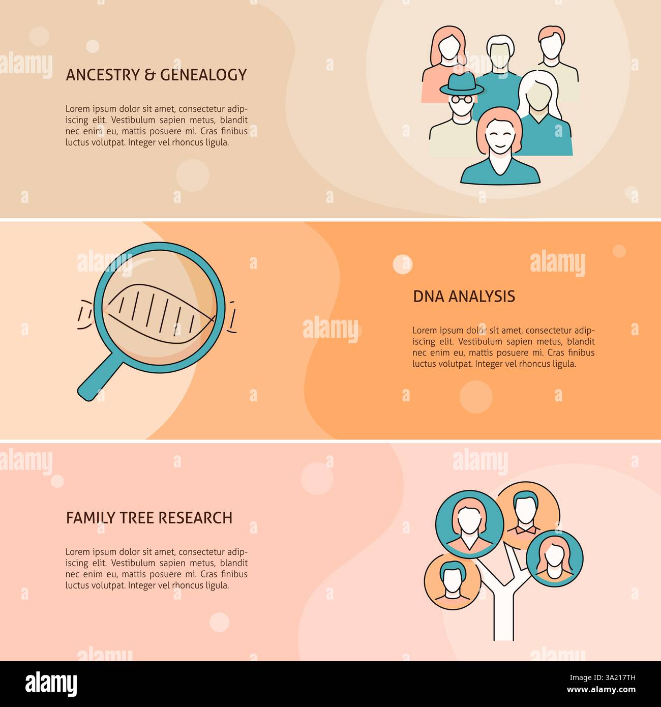 Family tree and genealogy banner template. Vector illustration Stock ...