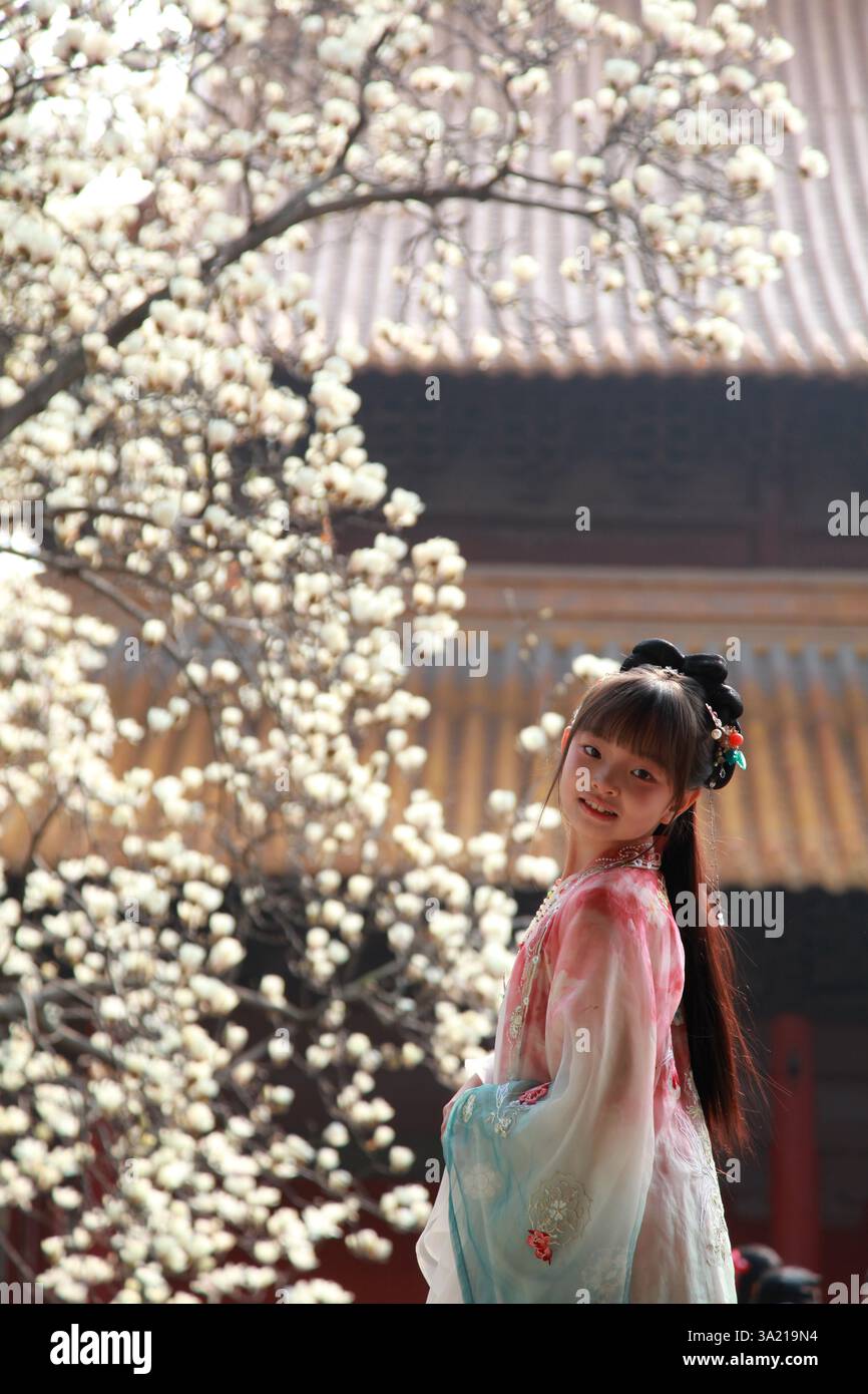 Magnolia flowers are in full bloom in Nanjing City, east China's ...