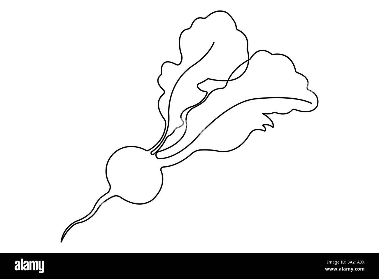 Single one line drawing of whole healthy organic radish icon, fresh ...