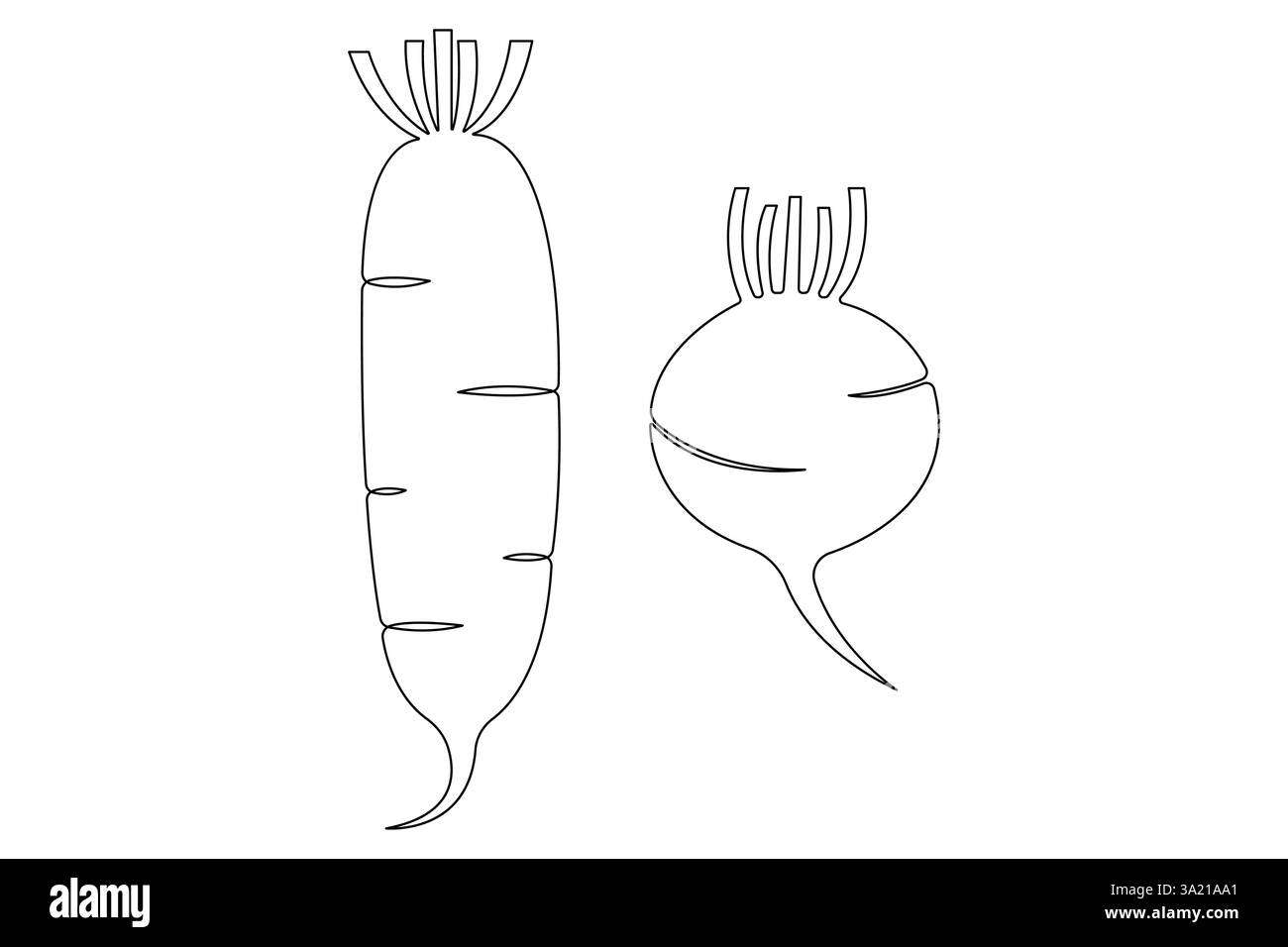 Single one line drawing of whole healthy organic radish icon, fresh ...