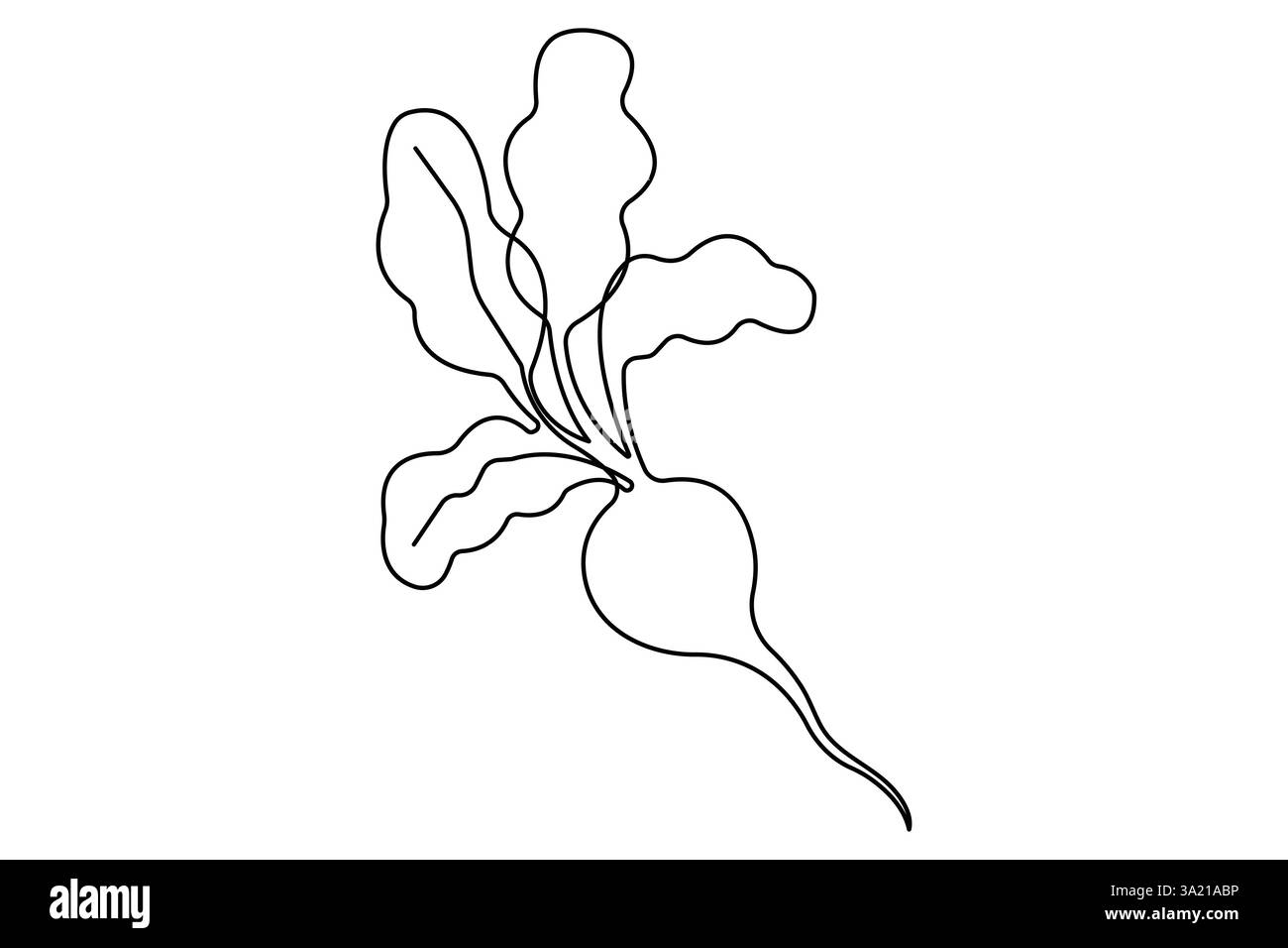 Single one line drawing of whole healthy organic radish icon, fresh ...