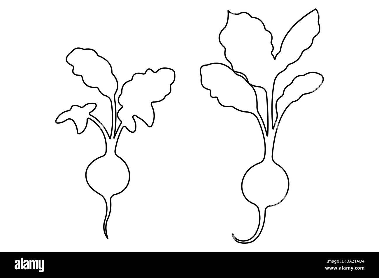 Single one line drawing of whole healthy organic radish icon, fresh ...