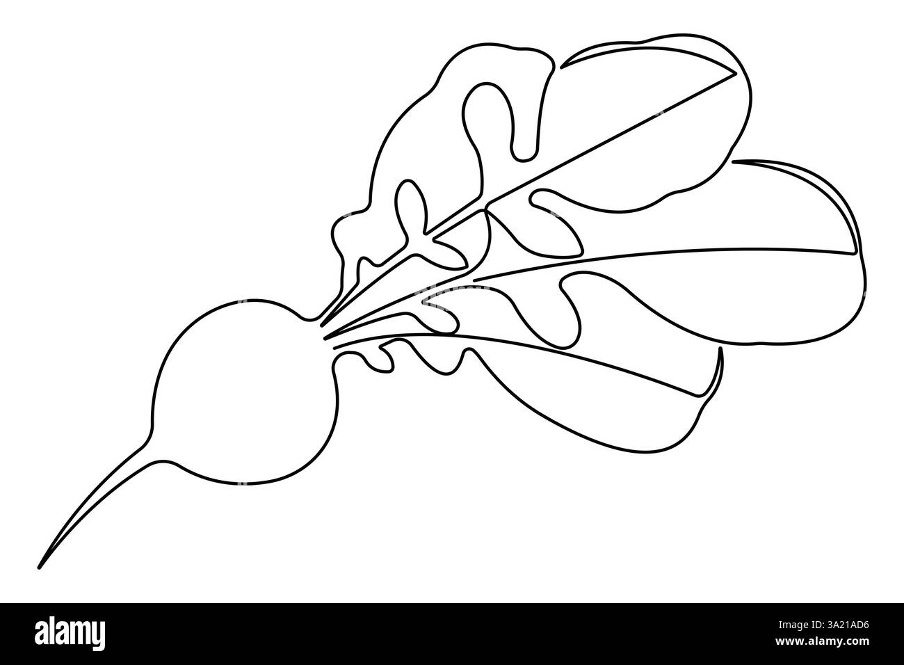 Single one line drawing of whole healthy organic radish icon, fresh ...