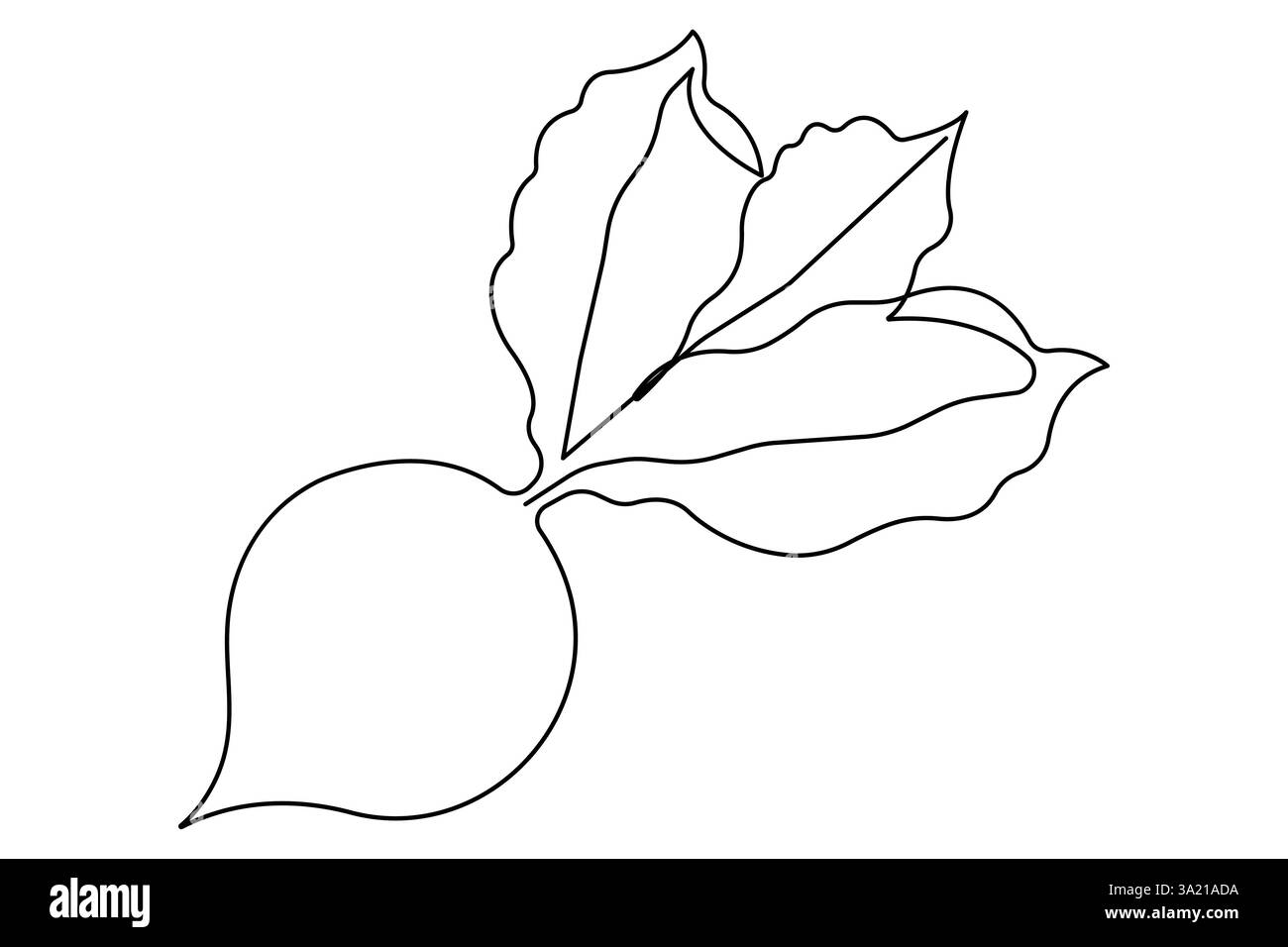 Single one line drawing of whole healthy organic radish icon, fresh ...