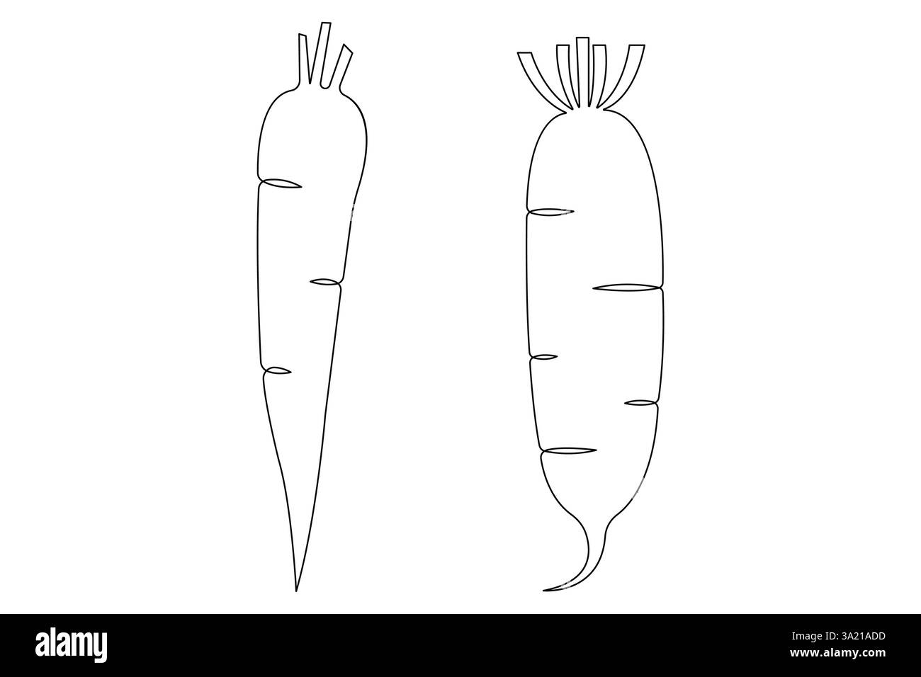 Single one line drawing of whole healthy organic radish icon, fresh ...