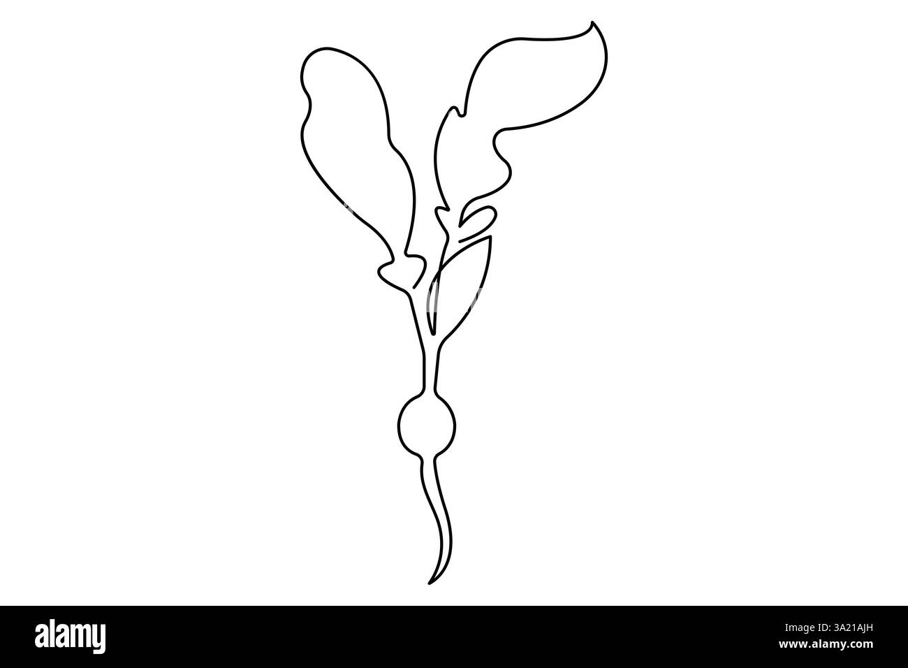 Single one line drawing of whole healthy organic radish icon, fresh ...