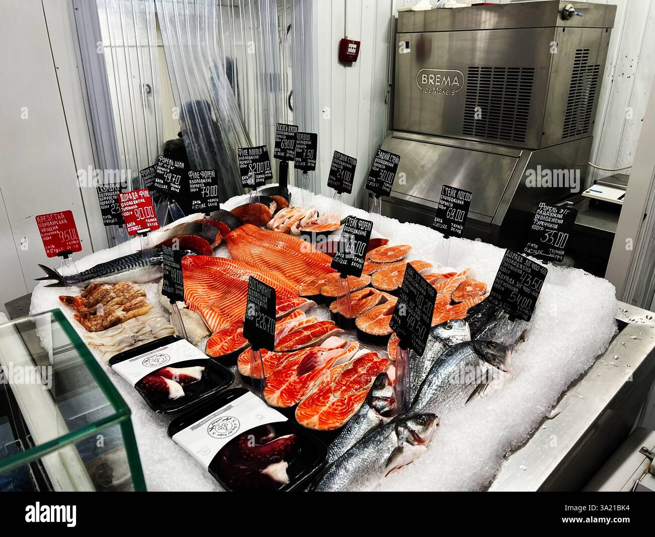 Kyiv, Ukraine - March 10, 2025: Various types of seafood showcased on ...