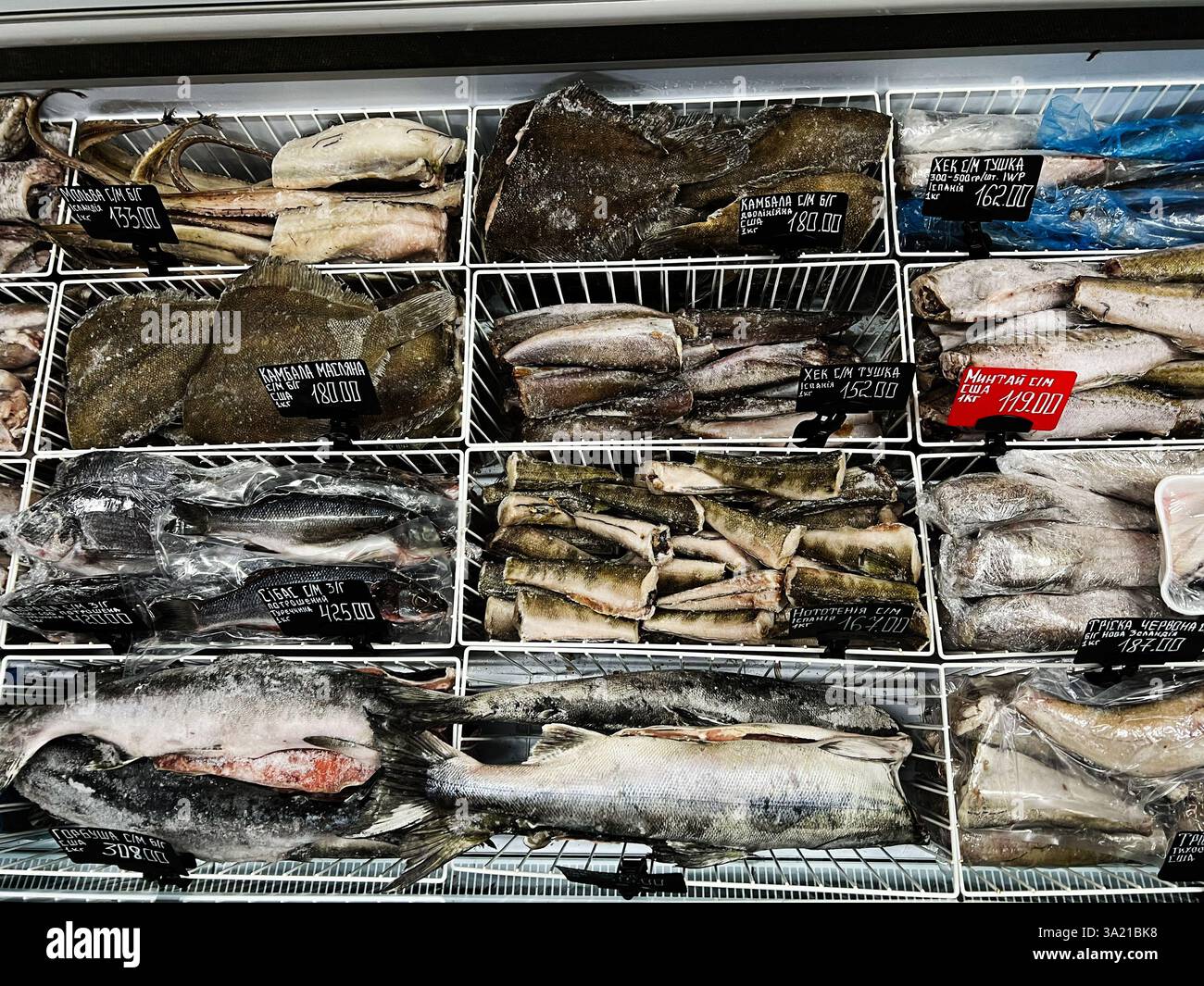 Kyiv, Ukraine - March 10, 2025: Rows of frozen fish organized neatly in ...