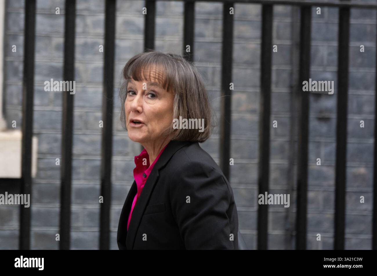 London, UK. 11th Mar, 2025. Jo Stevens, Welsh Secretary, arrives at a ...