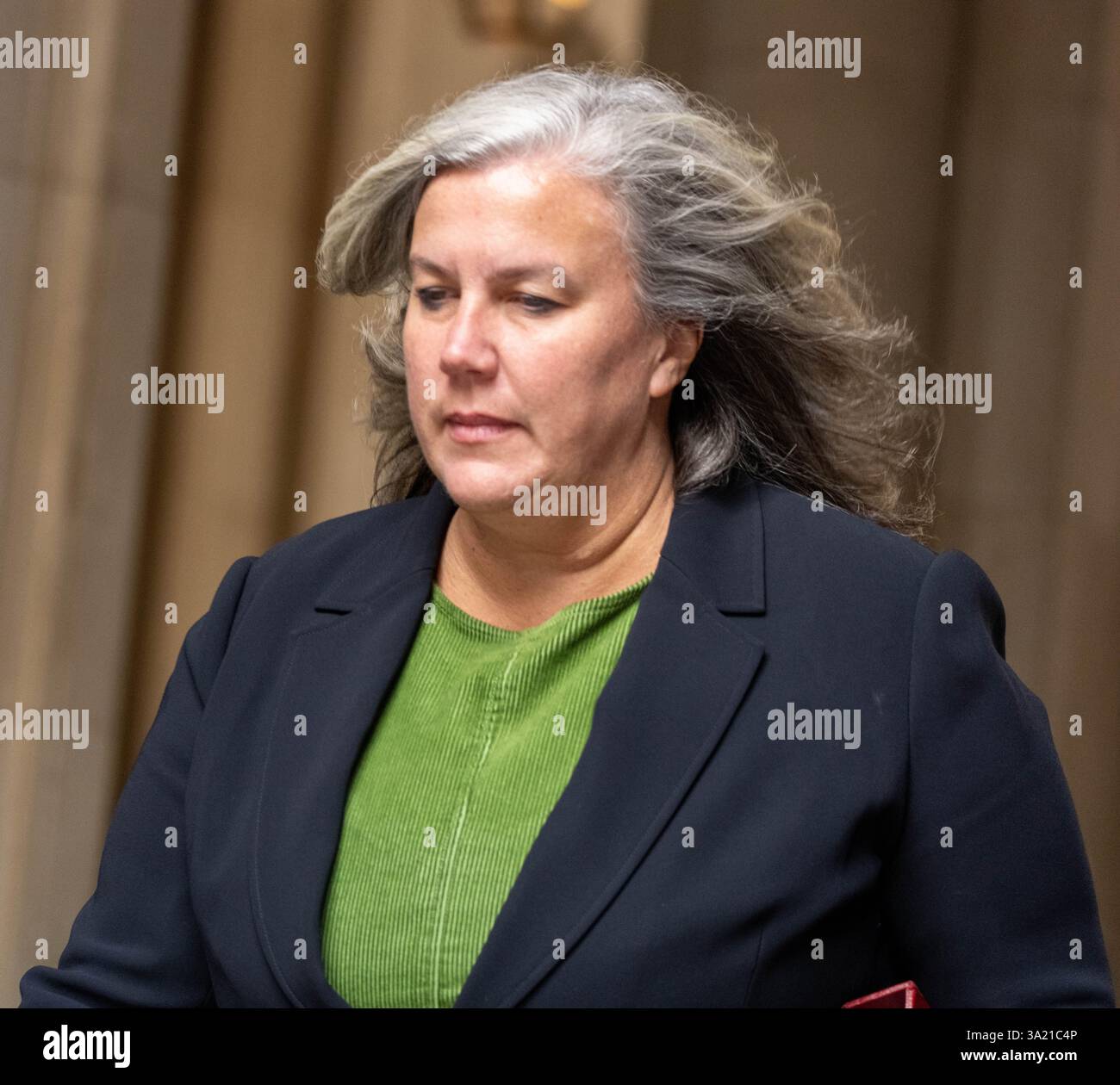 London, UK. 11th Mar, 2025. Heidi Alexander, Transport Secretary ...