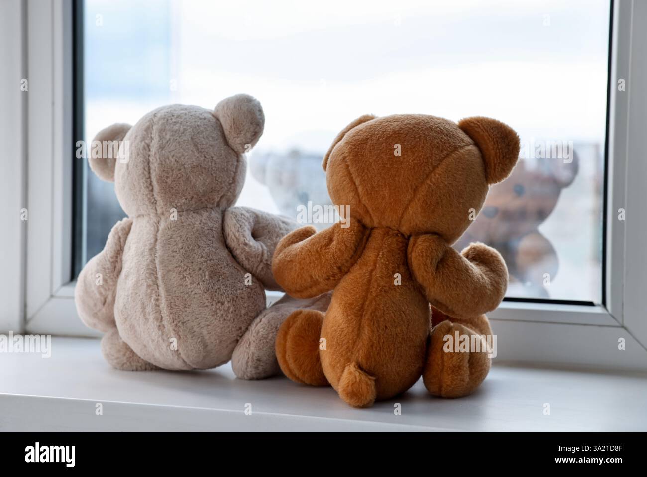 Two cute teddy bears near window indoors, back view Stock Photo - Alamy