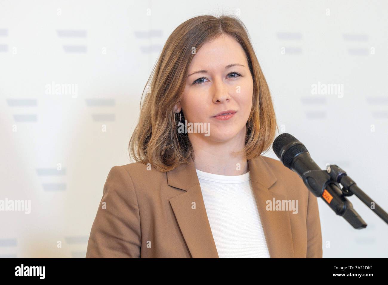 20250311 Expertengespraech der Bundesregierung zum Thema Familiennachzug und Integration WIEN ...