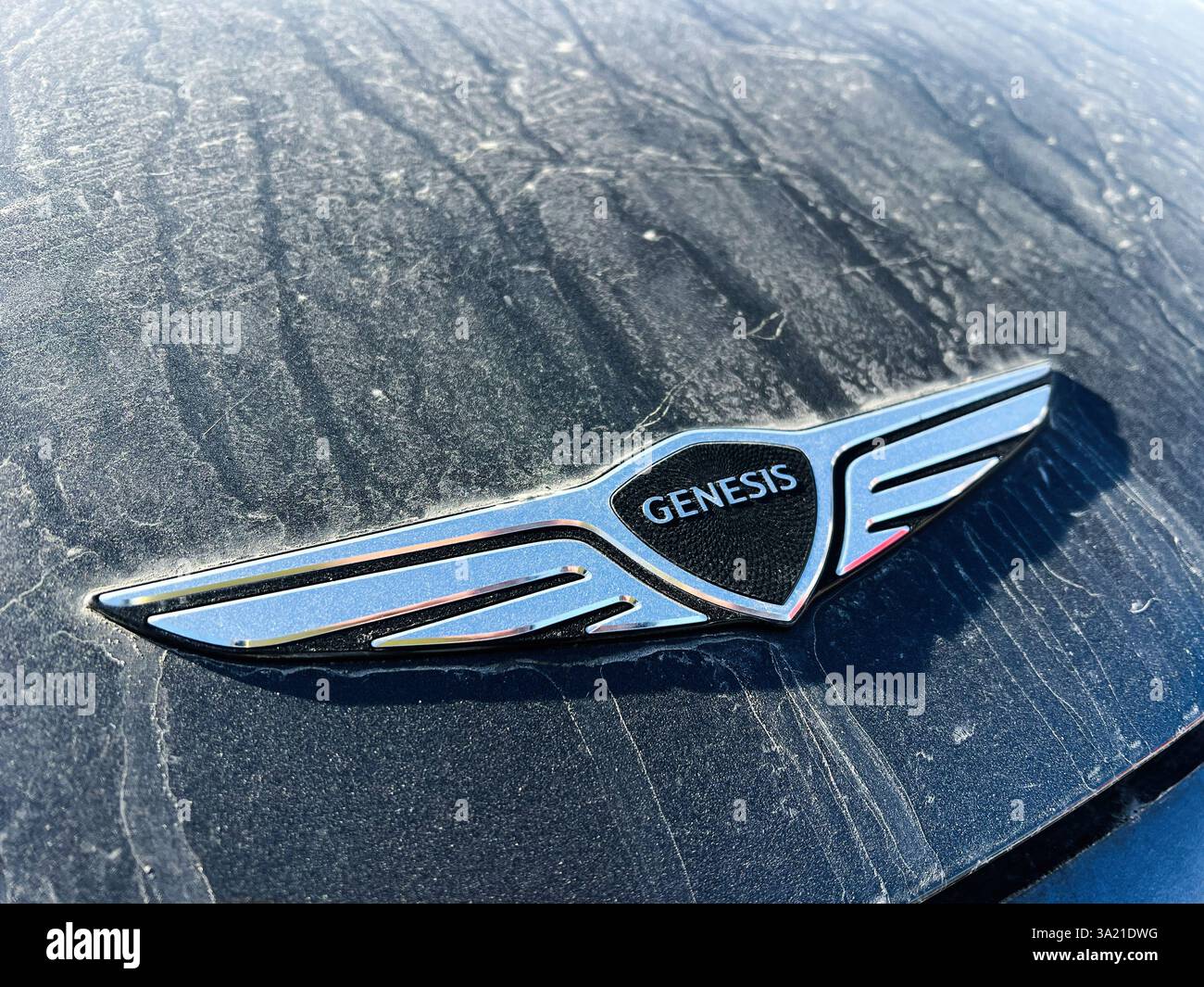 Kyiv, Ukraine - March 10, 2025: Genesis car logo depicted on a dusty ...