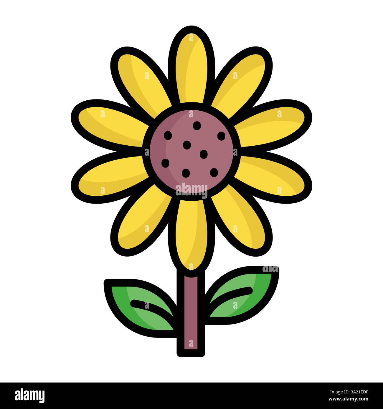 Seasonal wild flowers in forest Stock Vector Images - Alamy