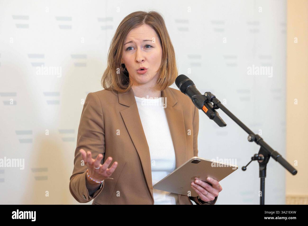 20250311 Expertengespraech der Bundesregierung zum Thema Familiennachzug und Integration WIEN ...