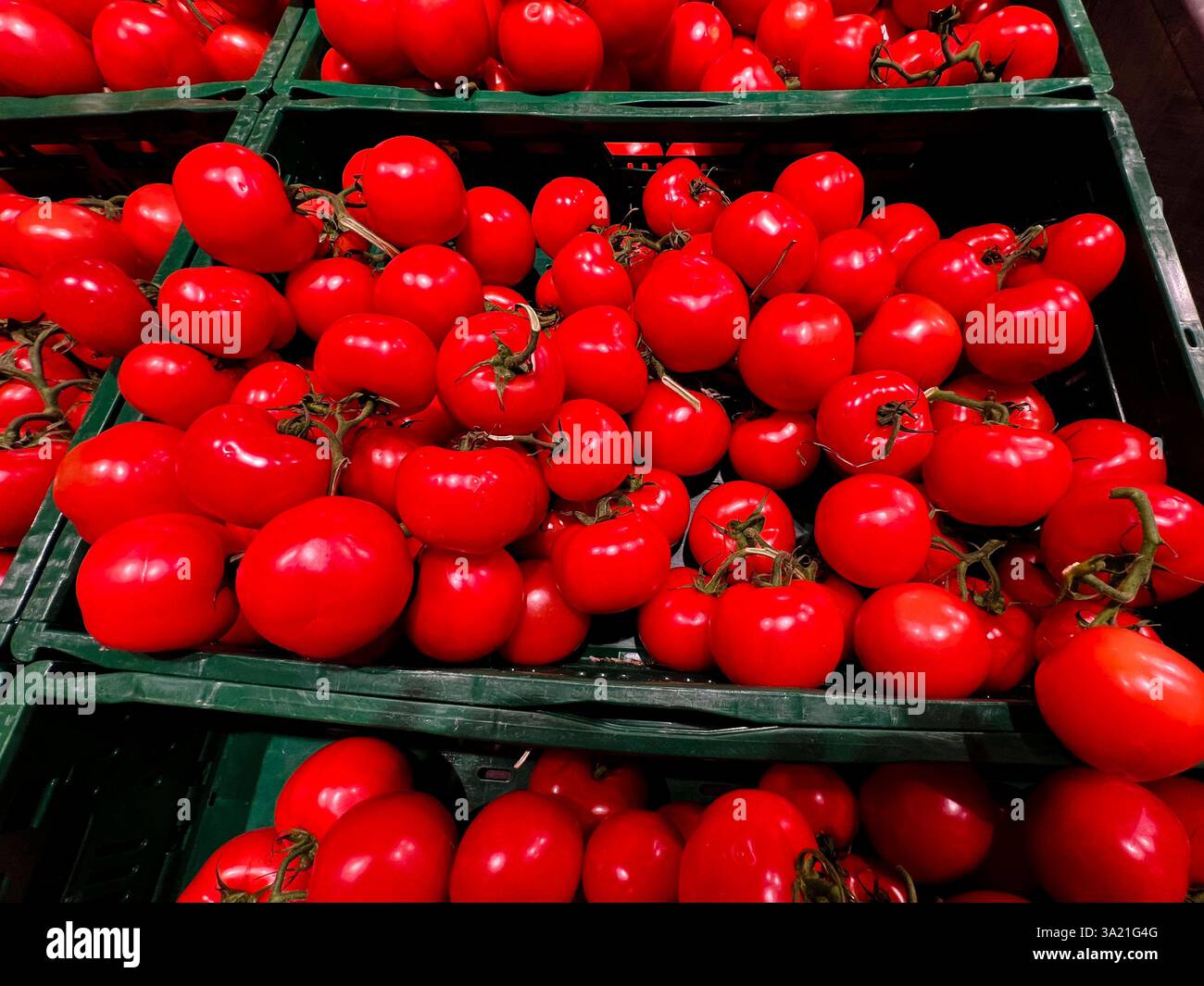 Rote Strauch Tomaten in der Auslage im EDEKA Supermarkt in Hamburg ...