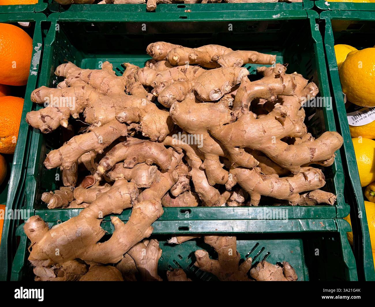 Frischer Ingwer aus Brasilien in der Auslage im EDEKA Supermarkt in ...