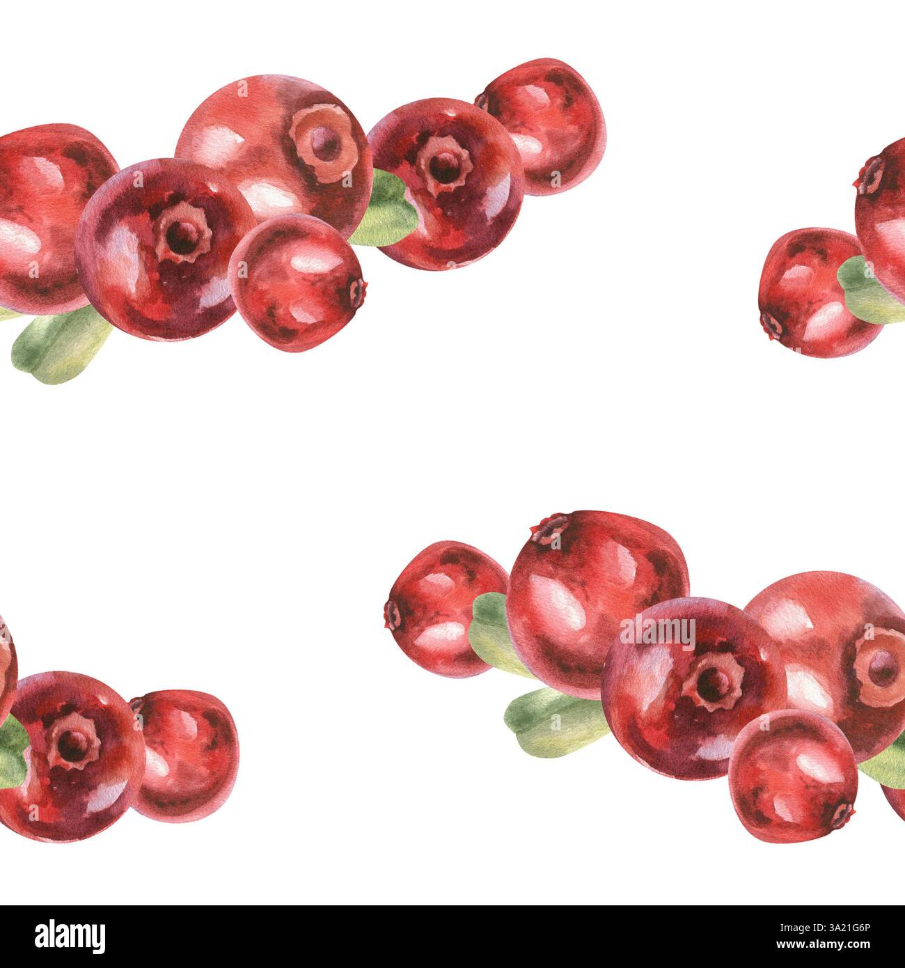 Red forest berries watercolor seamless pattern. Hand drawn cranberries ...
